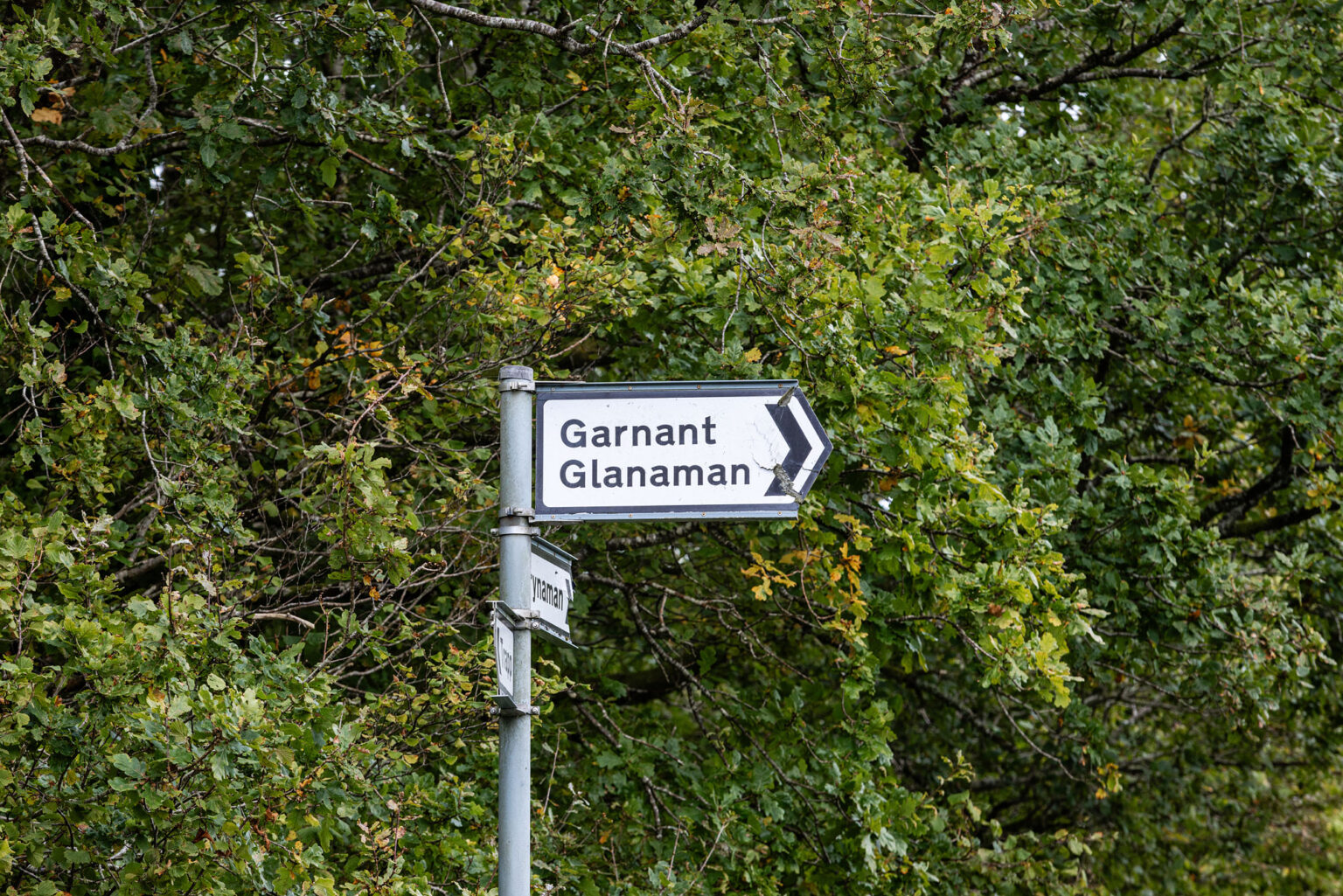 WWT Llanelli Wetland Centre - Glanaman and Garnant